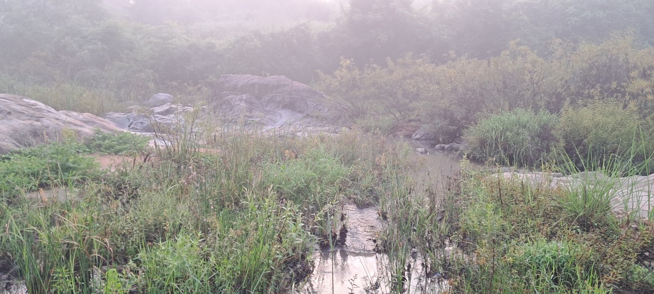 Bóng sông quê - Thơ Nguyễn Thanh Tòng - ĐAM BOOKS MEDIA